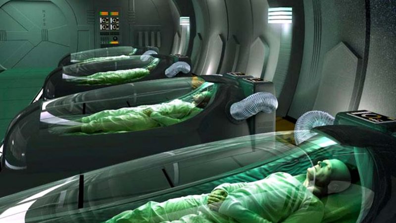 Llegó la hora de la “hibernación” - El Clarin de Chile