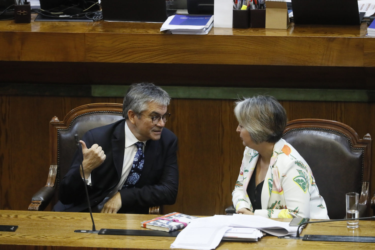 Las prioridades que se postergan - El Clarin de Chile