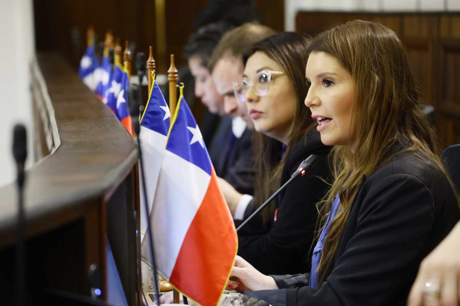 La distopía constitucional en Chile - El Clarin de Chile