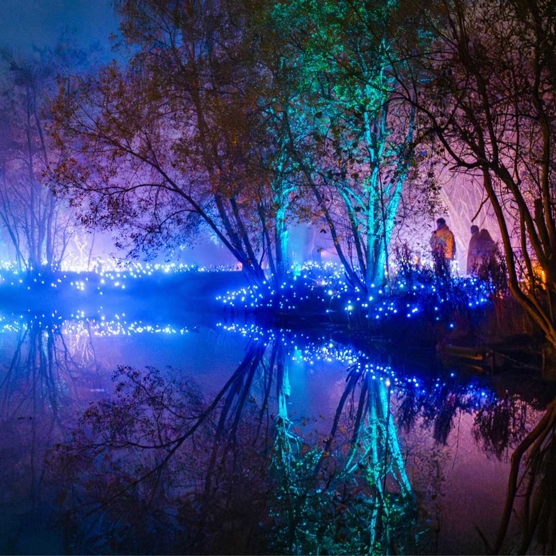 Light Cycles abre sus puertas en el Parque Metropolitano - El Clarin de Chile