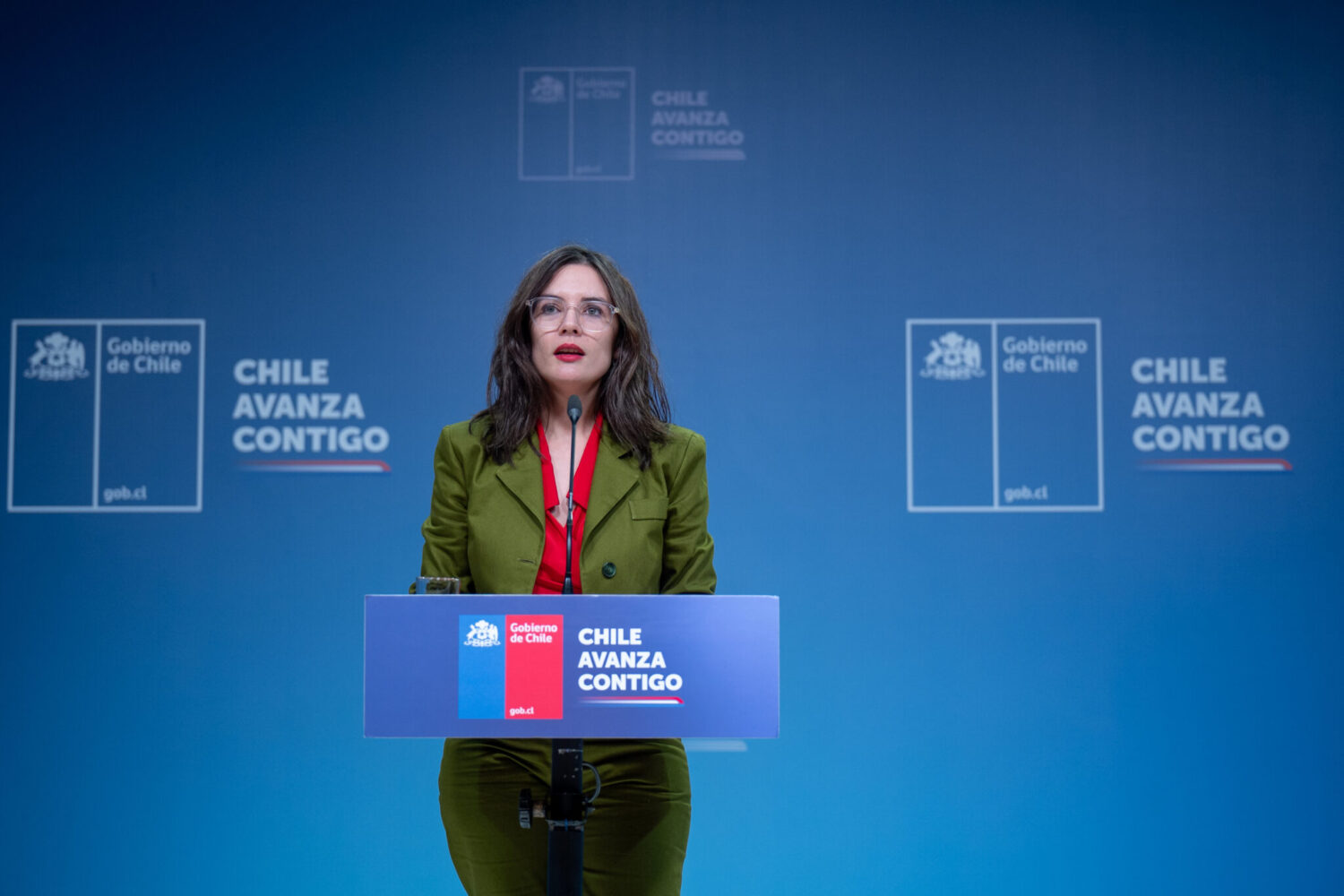 Vallejo: "El presidente de Chile debe ser elegido solo por chilenos ...
